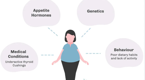 Weight Gain Symptoms in Fibromyalgia: Causes, Impact, and Management